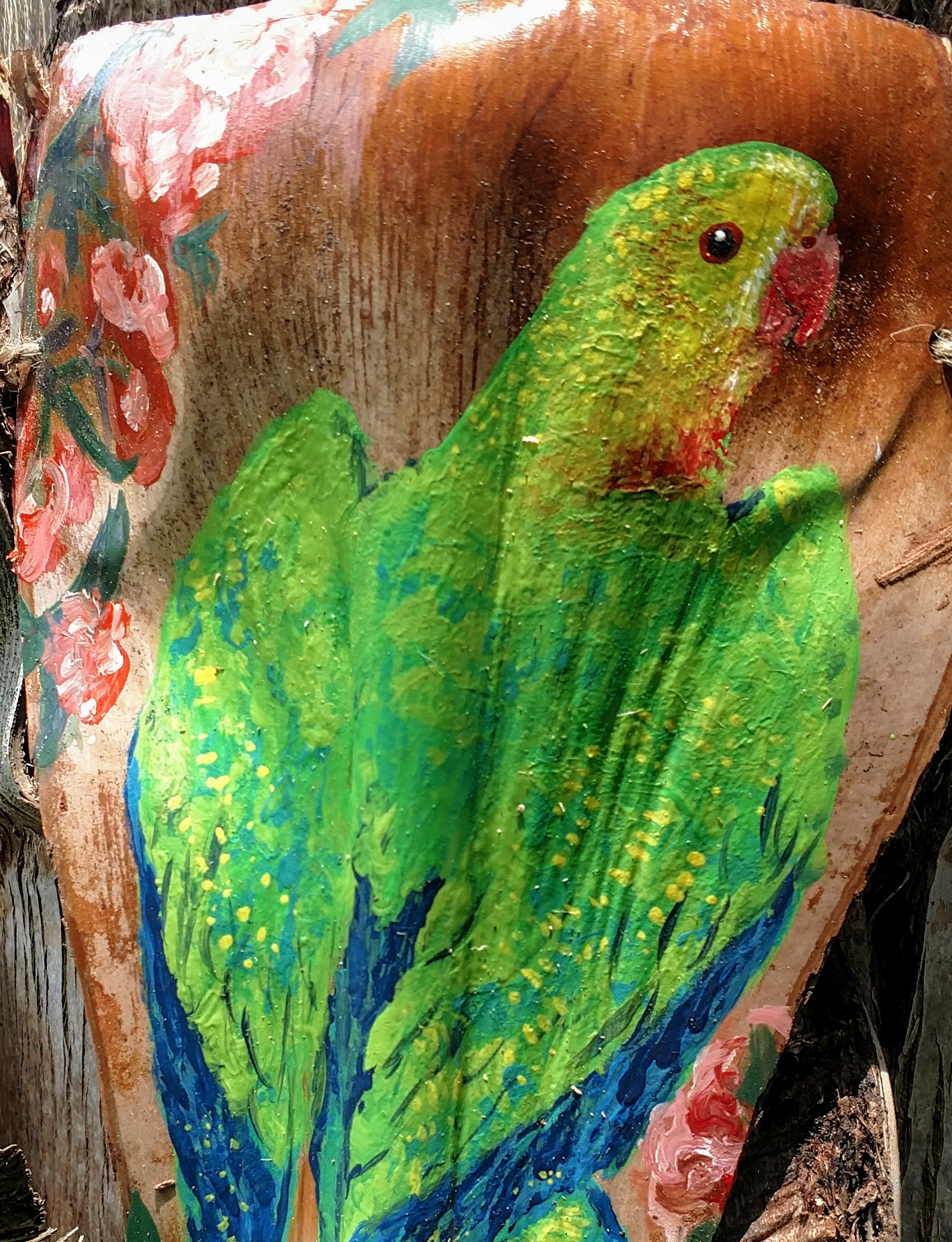 Little Green Parrot – Coastal Artworks